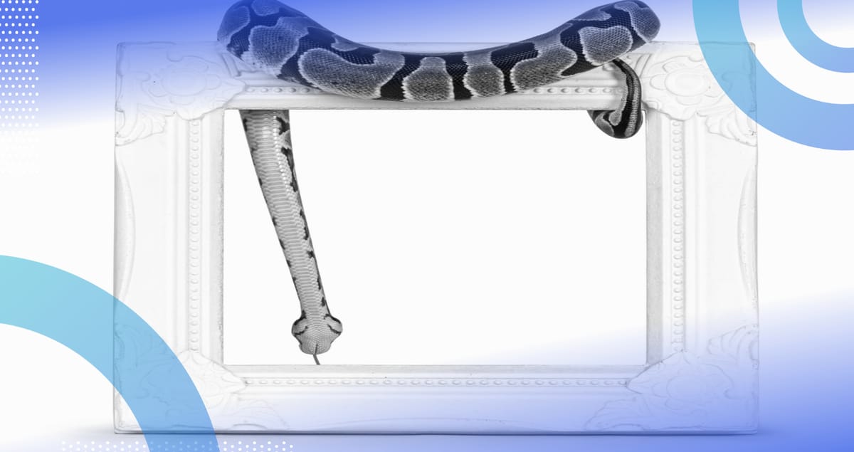 How To Define Empty Variables And Data Structures In Python Built In 